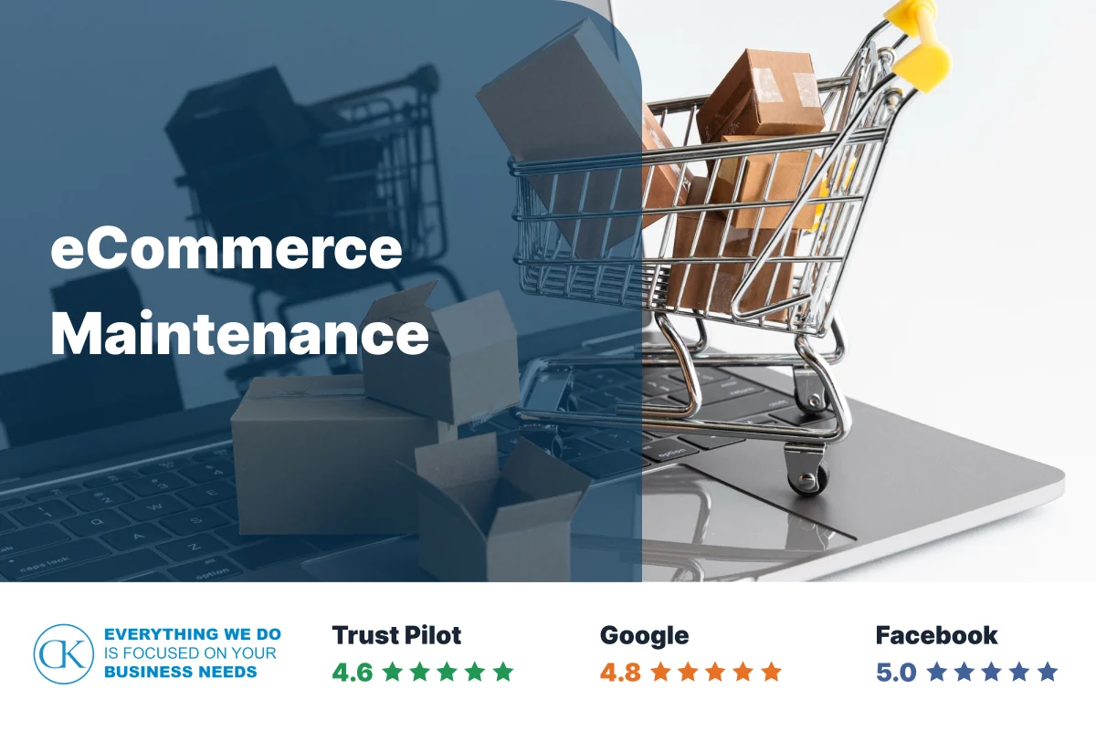 Ecommerce Website Maintenance Services Plans & Packages